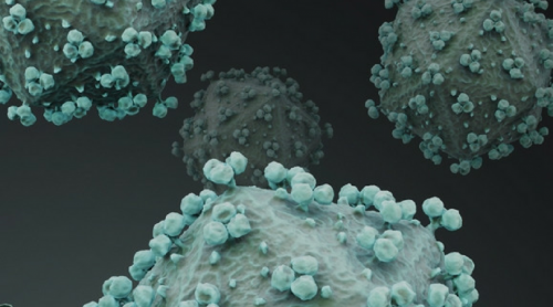 Russian Biological Facility Build-up Underscores Need for Enhanced ...