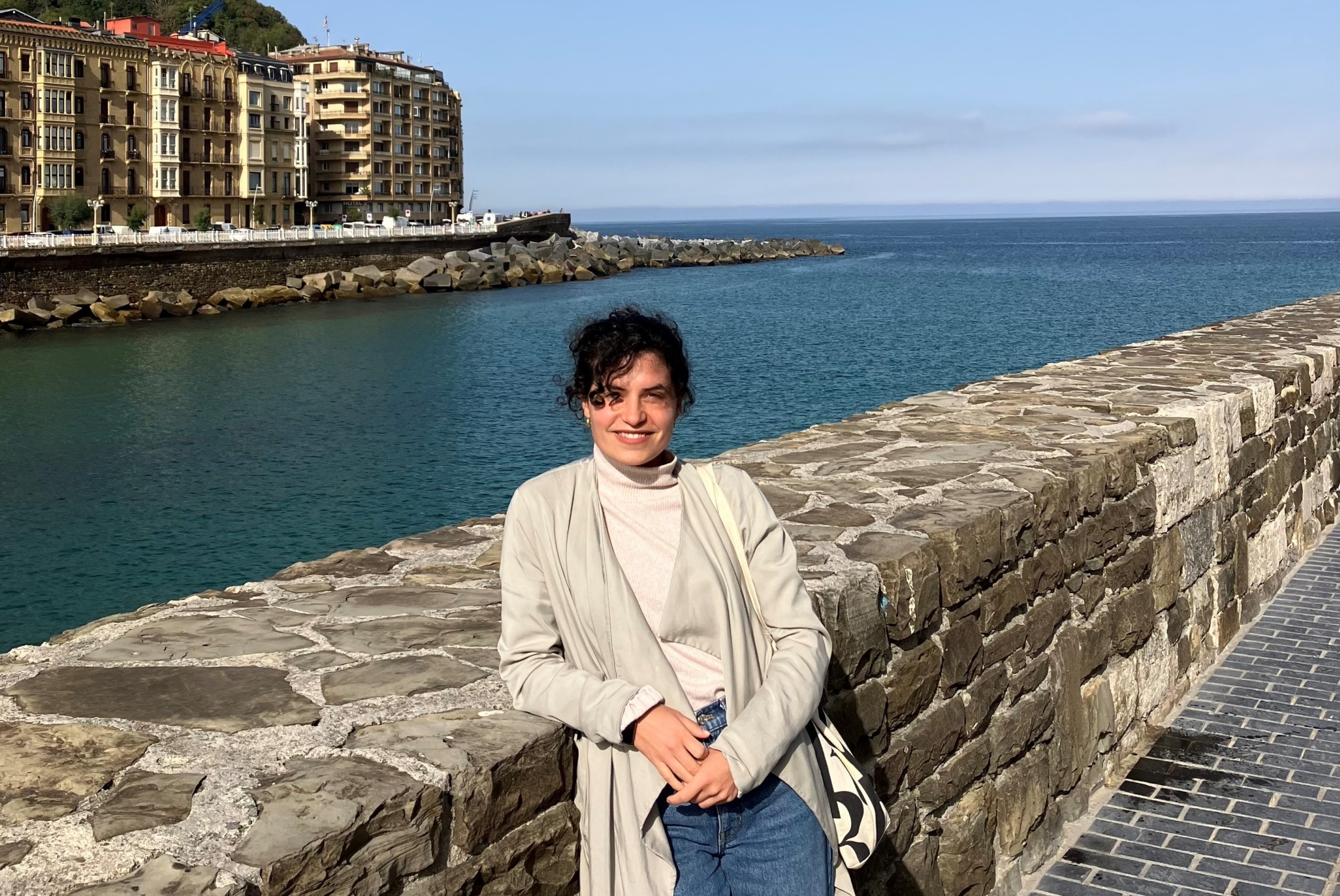 Diverse Voices in Peace and Security: Andrea Pimentel on the Importance ...