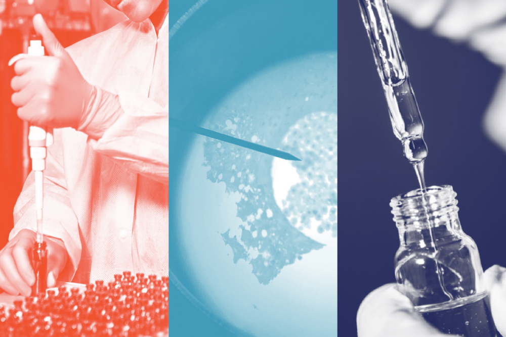 International Biosecurity and Biosafety Initiative for Science (IBBIS)