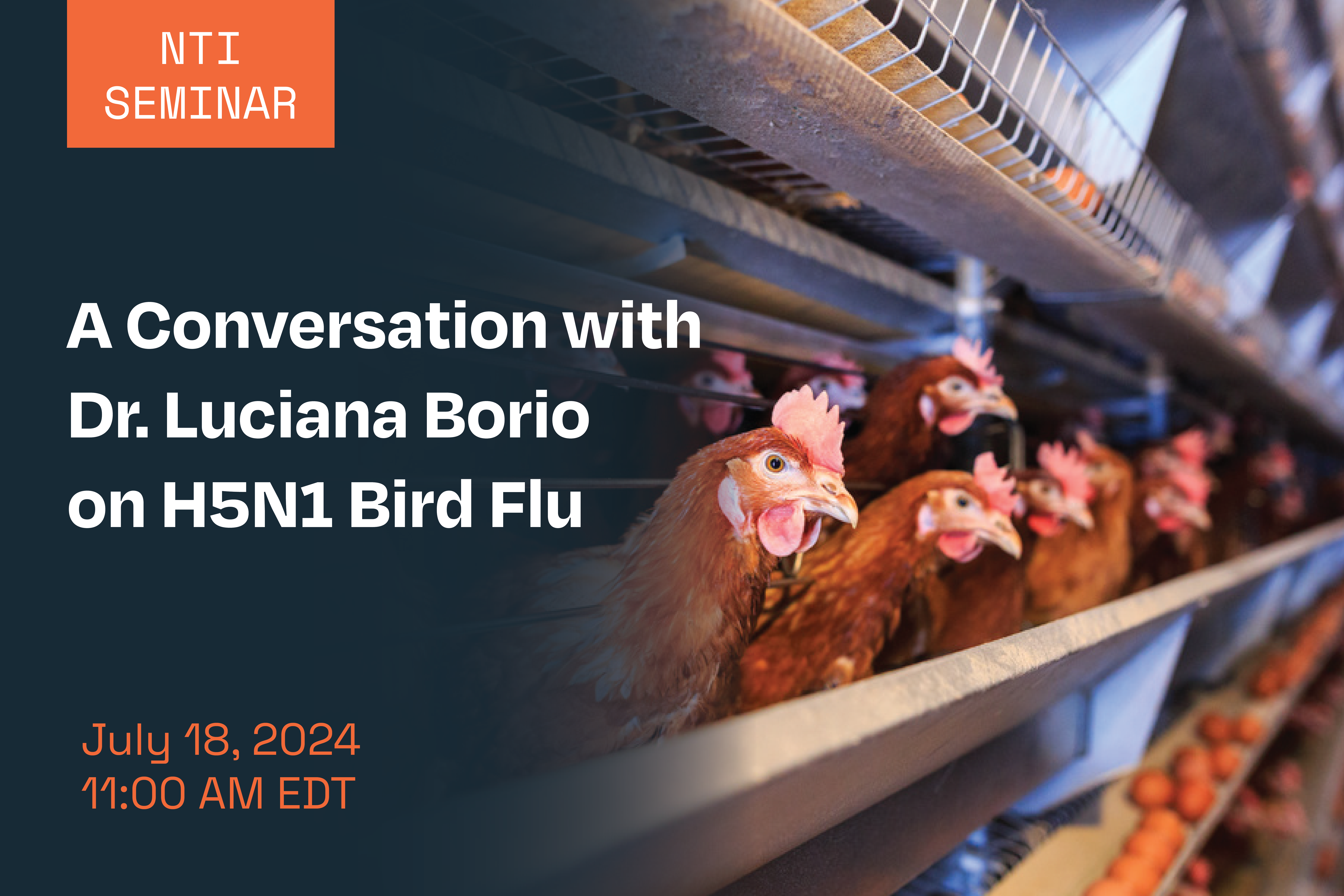 A Conversation with Dr. Luciana Borio on H5N1 Bird Flu